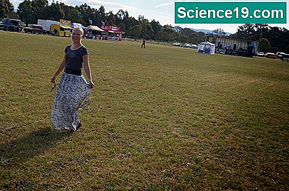 Ohtlikud ämblikud Põhja-Carolinas 💫 Teaduslikud Ja Populaar-Multimeedia ...
