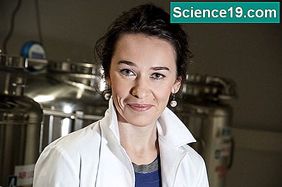 Geenide sekveneerimise ja DNA sõrmejälgede erinevus 💫 Teaduslikud Ja ... Geenide sekveneerimise ja DNA sõrmejälgede erinevus 💫 Teaduslikud Ja ...