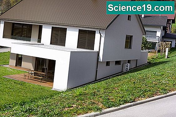 Ekološka niša: definicija, vrste, značaj i primjeri 💫 Znanstveno ... Ekološka niša: definicija, vrste, značaj i primjeri 💫 Znanstveno ...