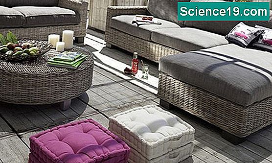 Koje su boje paunova perja? 💫 Znanstveno-Popularni Multimedijalni ...