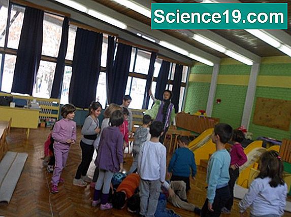 Kada se mutacija u molekuli DNA prenosi na potomstvo? 💫 Znanstveno ...