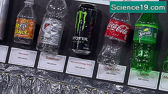 Energy Drink Science Project 💫 Tudományos És Népszerű Multimédiás ...