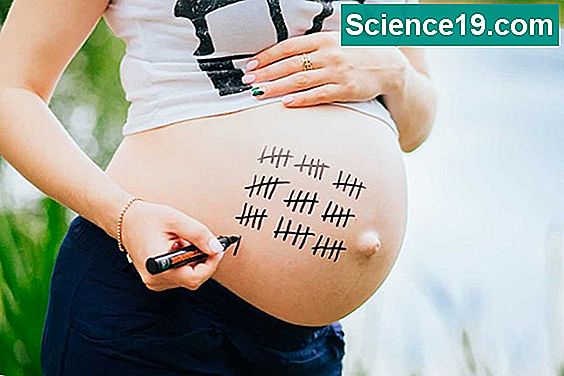 Jak obliczyć średni błąd bezwzględny 💫 Naukowe I Popularne Portal ... Jak obliczyć średni błąd bezwzględny 💫 Naukowe I Popularne Portal ...