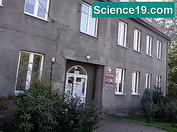 Jak zbudować projekt szkolny dla cząsteczek DNA 💫 Naukowe I Popularne ... Jak zbudować projekt szkolny dla cząsteczek DNA 💫 Naukowe I Popularne ...