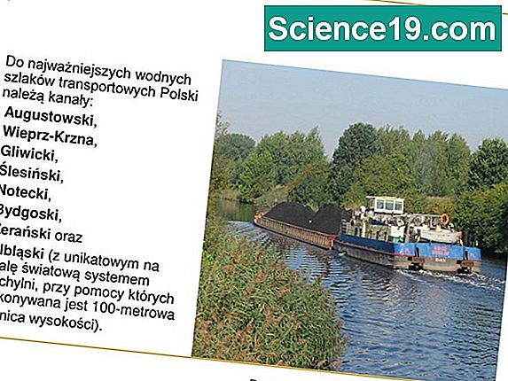 Różnica między systemem somatycznym a autonomicznym 💫 Naukowe I ... Różnica między systemem somatycznym a autonomicznym 💫 Naukowe I ...