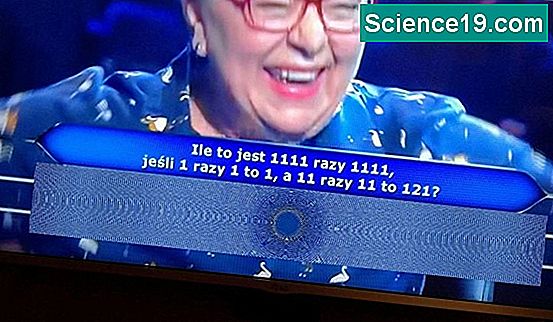 Ile było złotych pośpiechów w XIX wieku? 💫 Naukowe I Popularne Portal ...