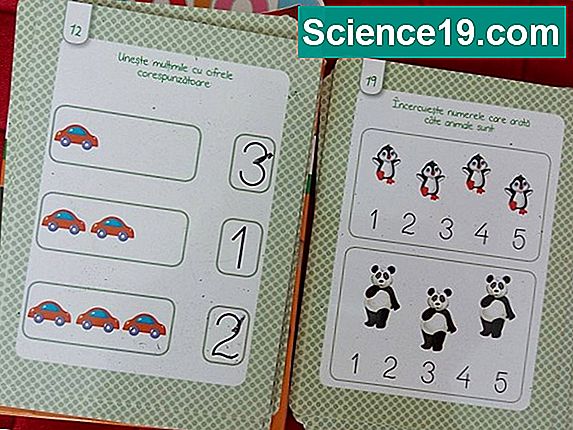 Activități de matematică chinezească pentru copii 💫 Portal Multimedia ...