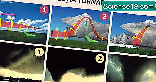 Efectele tornadelor asupra oamenilor și naturii 💫 Portal Multimedia ...