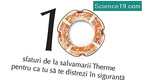 Cum să citiți un indicator de culoare a indicatorului 💫 Portal ...