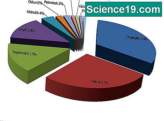 t-statisti-i-nas-l-hesaplan-r-bilimsel-ve-pop-ler-multimedya