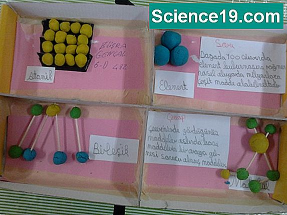 DNA Molekül Okulu Projesi Nasıl Kurulur? 💫 Bilimsel Ve Popüler ... DNA Molekül Okulu Projesi Nasıl Kurulur? 💫 Bilimsel Ve Popüler ...