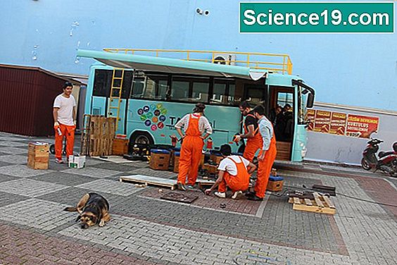 Potalar Nasıl Temizlenir 💫 Bilimsel Ve Popüler Multimedya Portalı. 2024