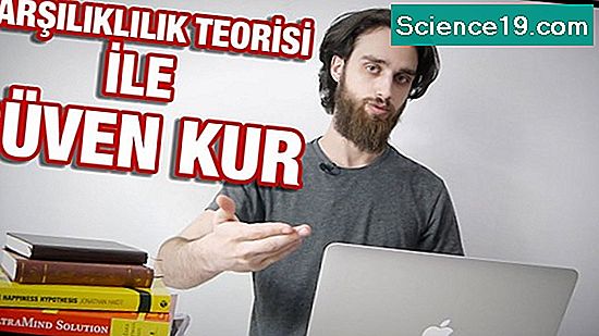 Karşılıklılık (Biyoloji): Tanımı, Çeşitleri, Gerçekler ve Örnekler 💫 ... Karşılıklılık (Biyoloji): Tanımı, Çeşitleri, Gerçekler ve Örnekler 💫 ...