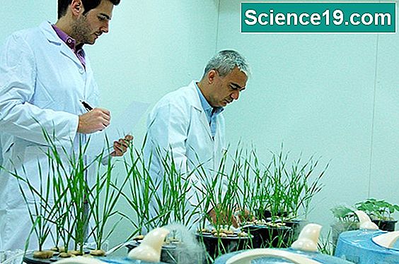 Predasyon Biyoloji Tanımı Çeşitleri Ve Örnekleri 💫 Bilimsel Ve Popüler Multimedya Portalı 2025