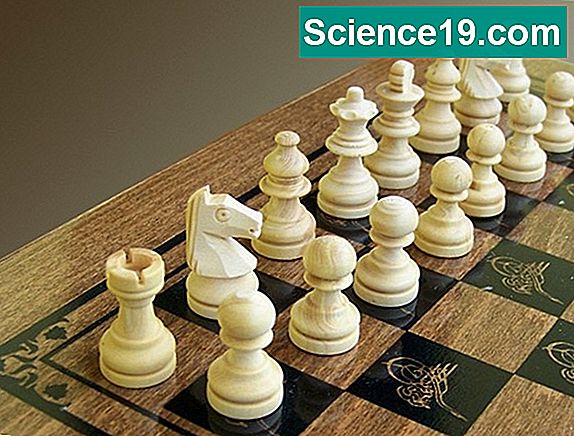 Gamet nedir? 💫 Bilimsel Ve Popüler Multimedya Portalı. 2025