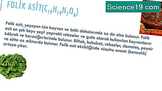 Benzoik Asit Suda Neden Hafifçe Çözünür? 💫 Bilimsel Ve Popüler ...