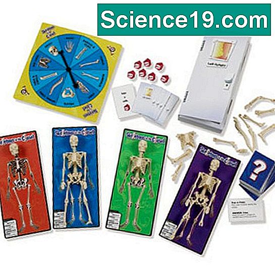 T bbi Terminoloji Faaliyetleri Bilimsel Ve Pop ler Multimedya Portal t-bbi-terminoloji-faaliyetleri-bilimsel-ve-pop-ler-multimedya-portal